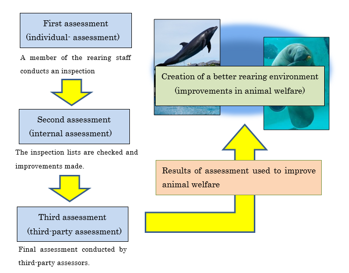 Animal Welfare | Okinawa Churaumi Aquarium - For the next generation to ...